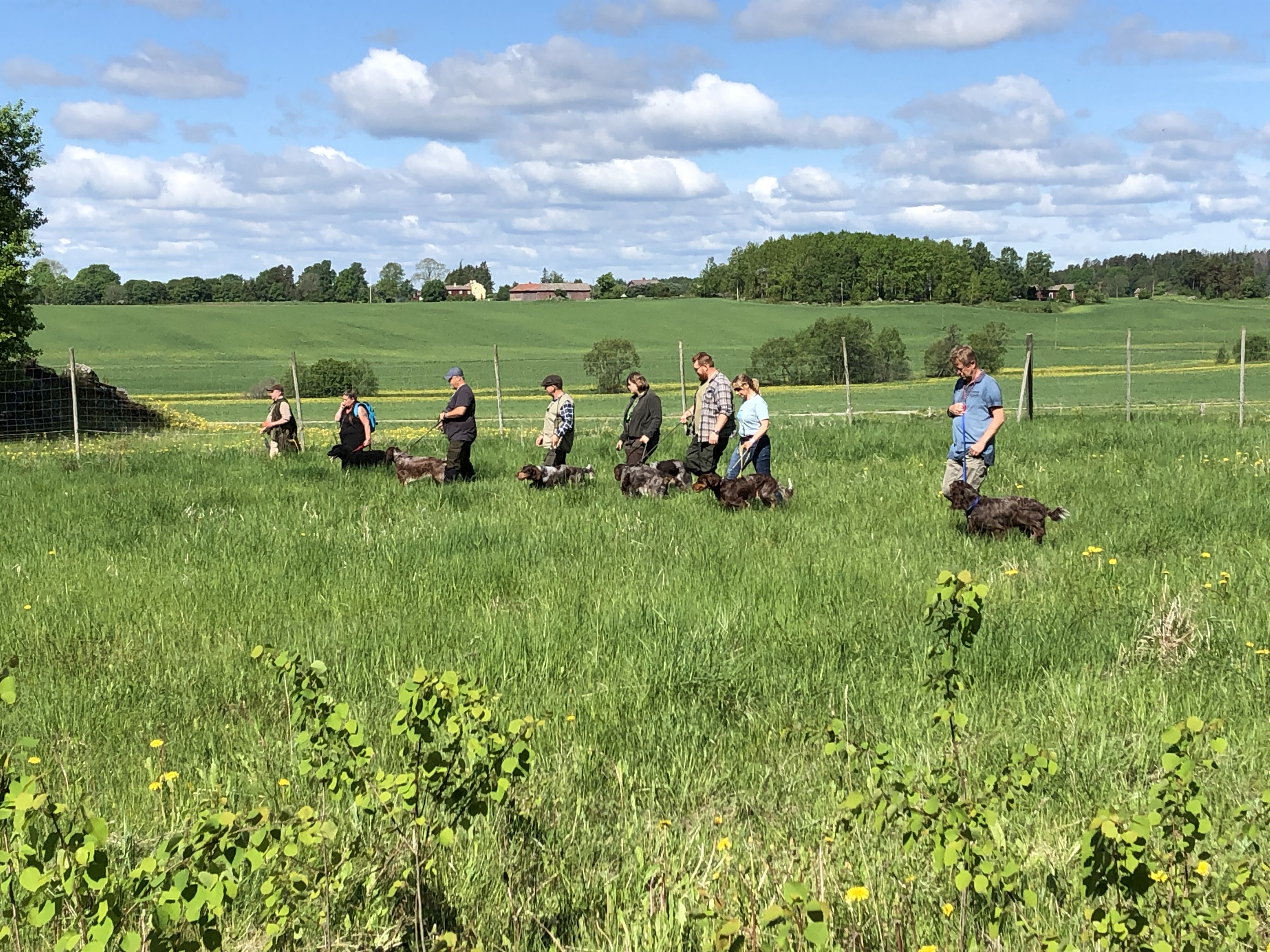 2022 Hayabusa Kennel Club Training Clinic and Field Competition ...